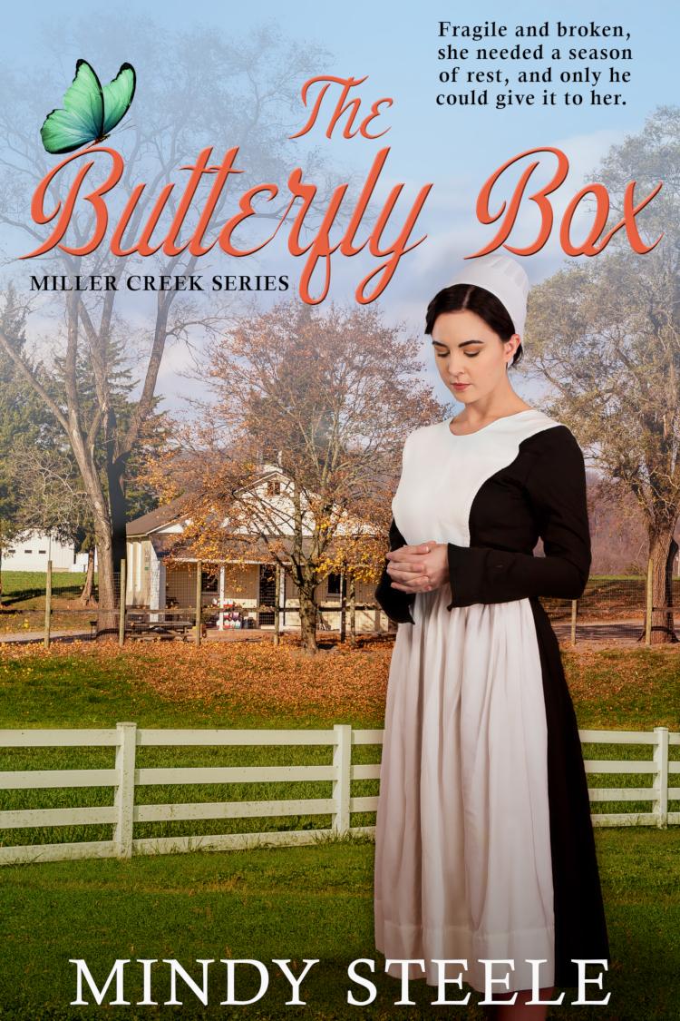 thebutterflybox-750×1125-1 | Mindy Steele