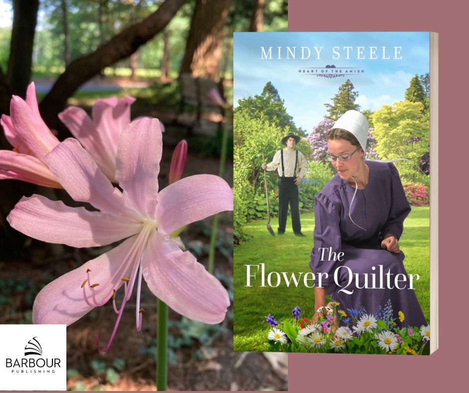 Get to know Mindy | Mindy Steele